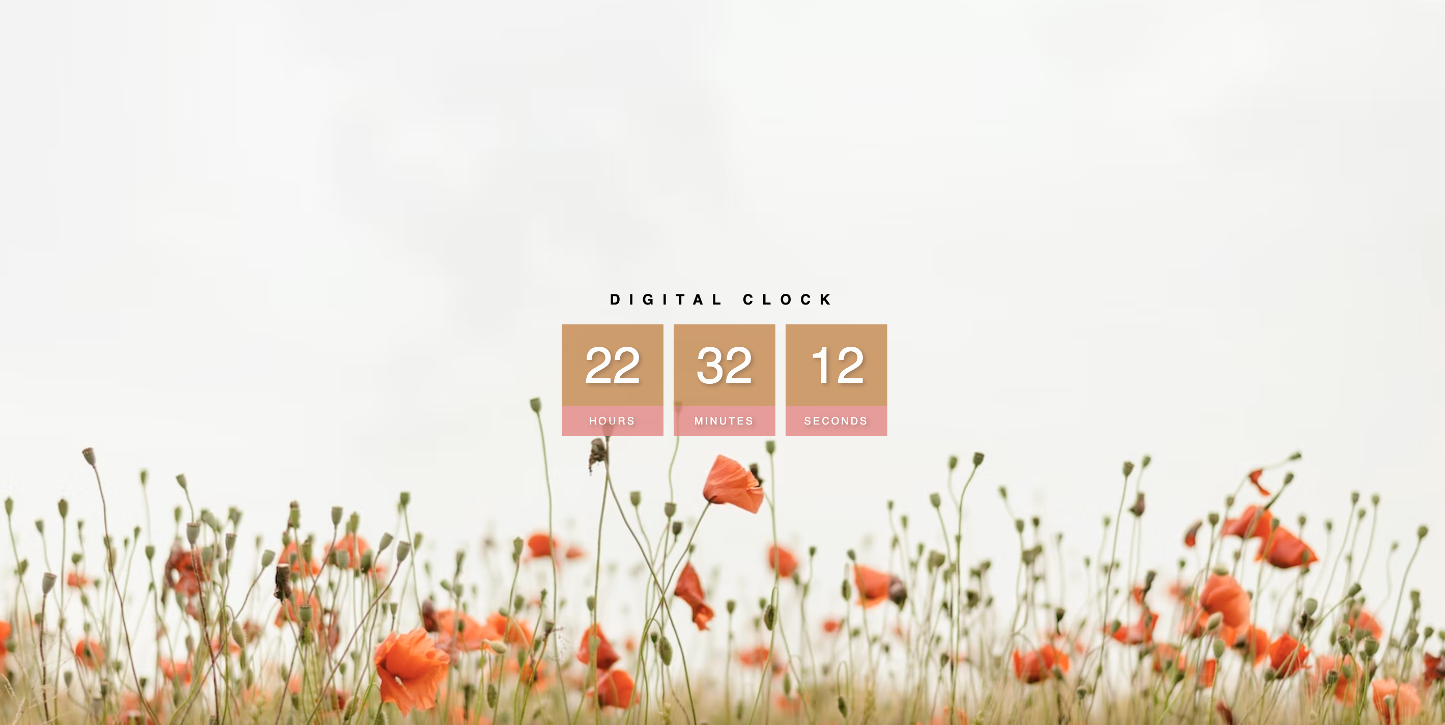 GitHub - PetkovBG/Mini-Projects: Mini Projects with HTML & CSS