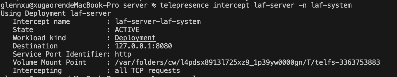 telepresence intercept: error: commands to be run with intercept must come after options · Issue ...