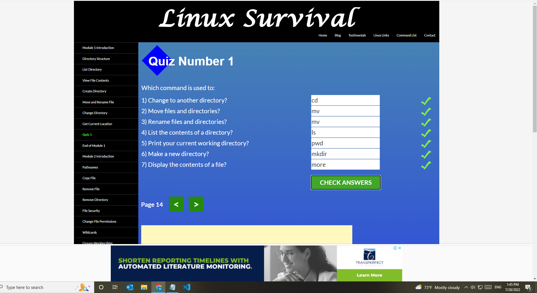GitHub - filoxera1409/kottans-frontend