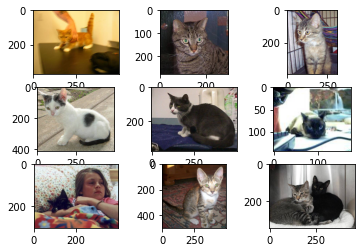 GitHub - nlreiser/ML-Cats-Dogs