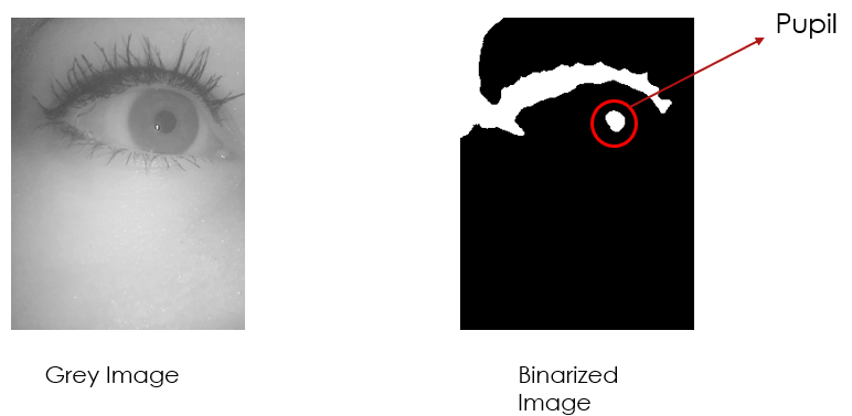 GitHub - Ianmendonca/Optimisation-of-Embedded-Pupil-detection-system: Here, an attempt is made ...
