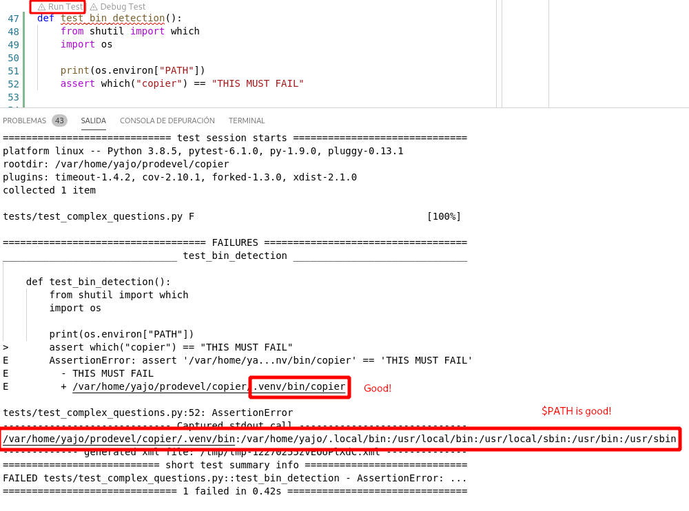 Wrong Binary Detection Missing Venv Path While Debugging · Issue 14222 · Microsoftvscode