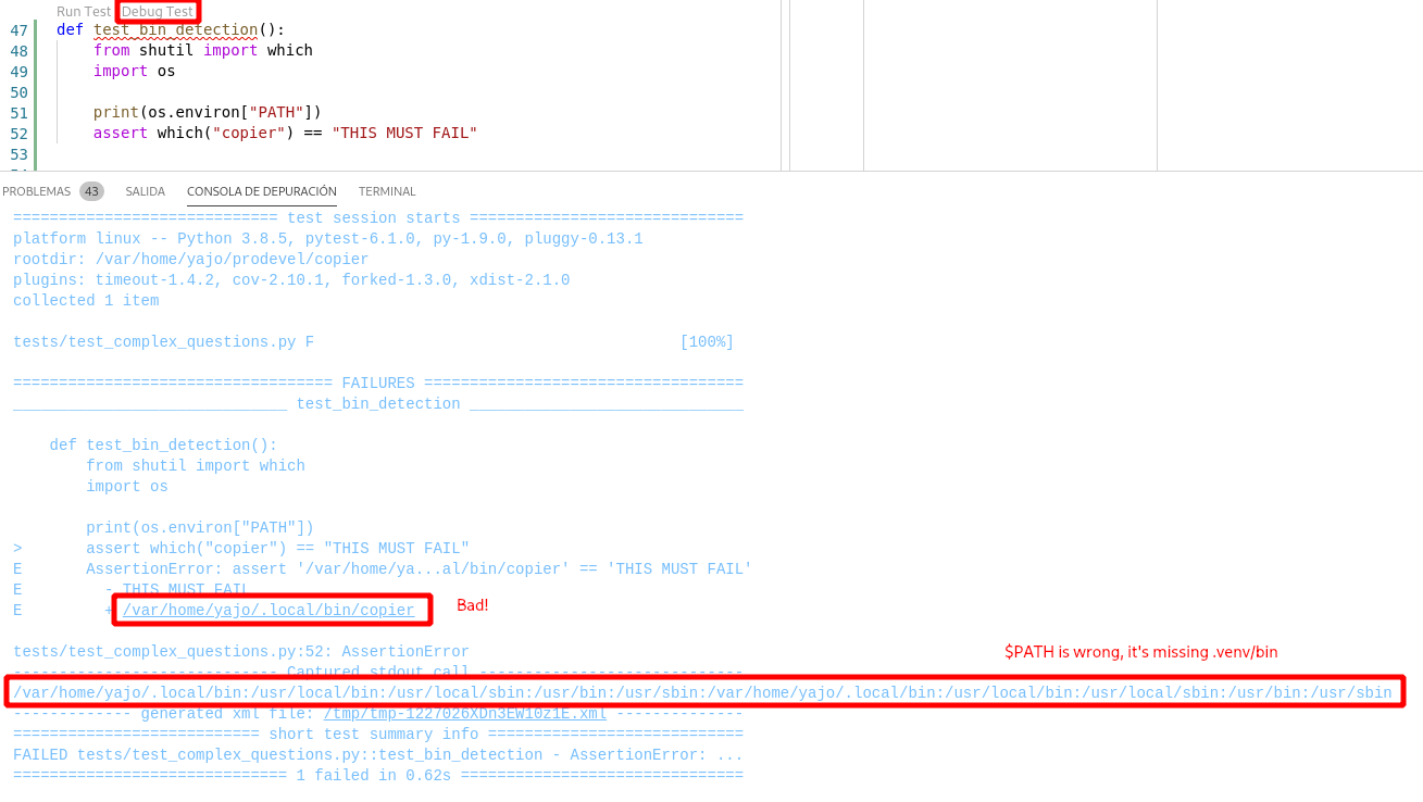 Wrong Binary Detection Missing Venv Path While Debugging · Issue 14222 · Microsoftvscode 9056