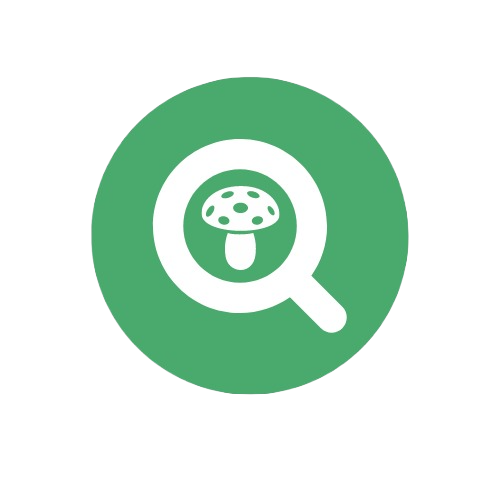 GitHub - luswisarya/MushyMatch: MushyMatch Project for Bangkit 2023 ... GitHub - luswisarya/MushyMatch: MushyMatch Project for Bangkit 2023 ...