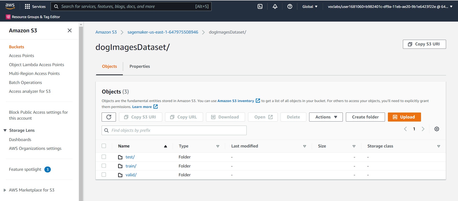 GitHub - phoenix686/DogBreed-Classification-AWS-Sagemaker