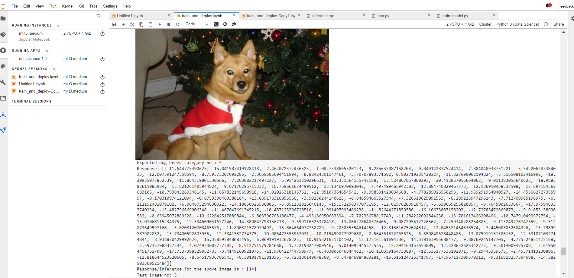 GitHub - phoenix686/DogBreed-Classification-AWS-Sagemaker