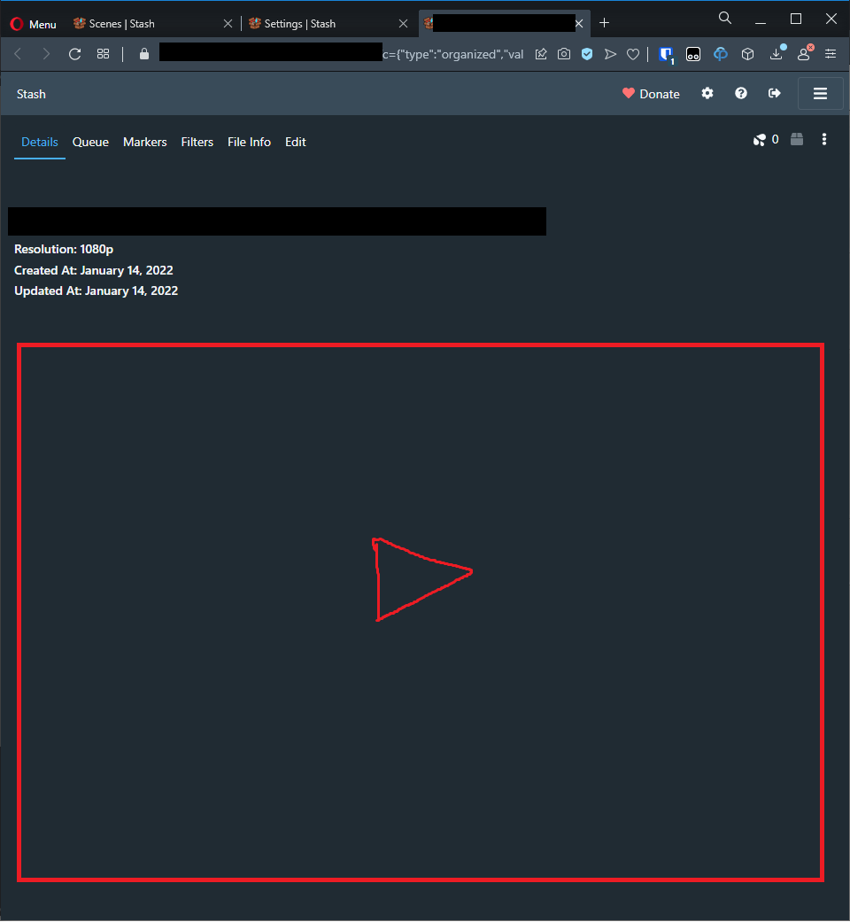[Bug Report] Player missing on desktop