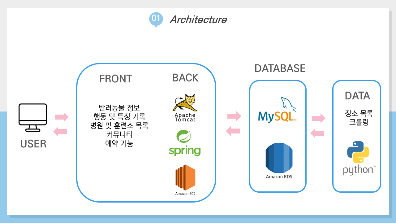 GitHub - yeeahG/Project_ToMyAnimal: [To my Animal] Pet care service ...