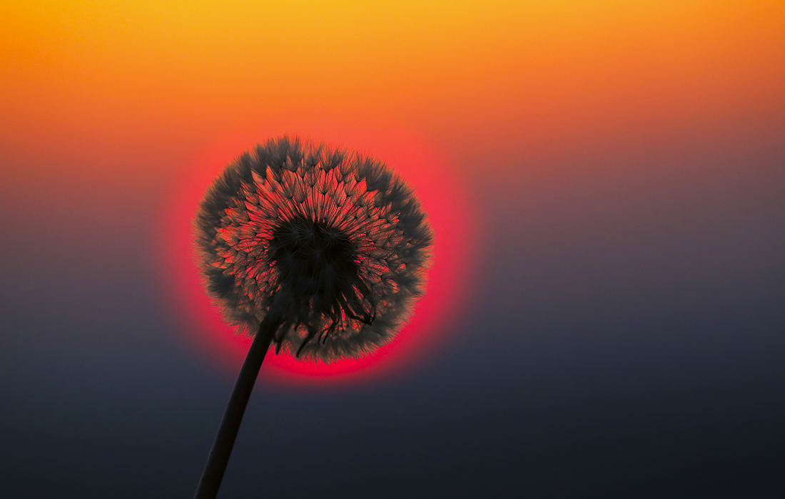 GitHub - Ksenia-Mesh/GitHub_Pages