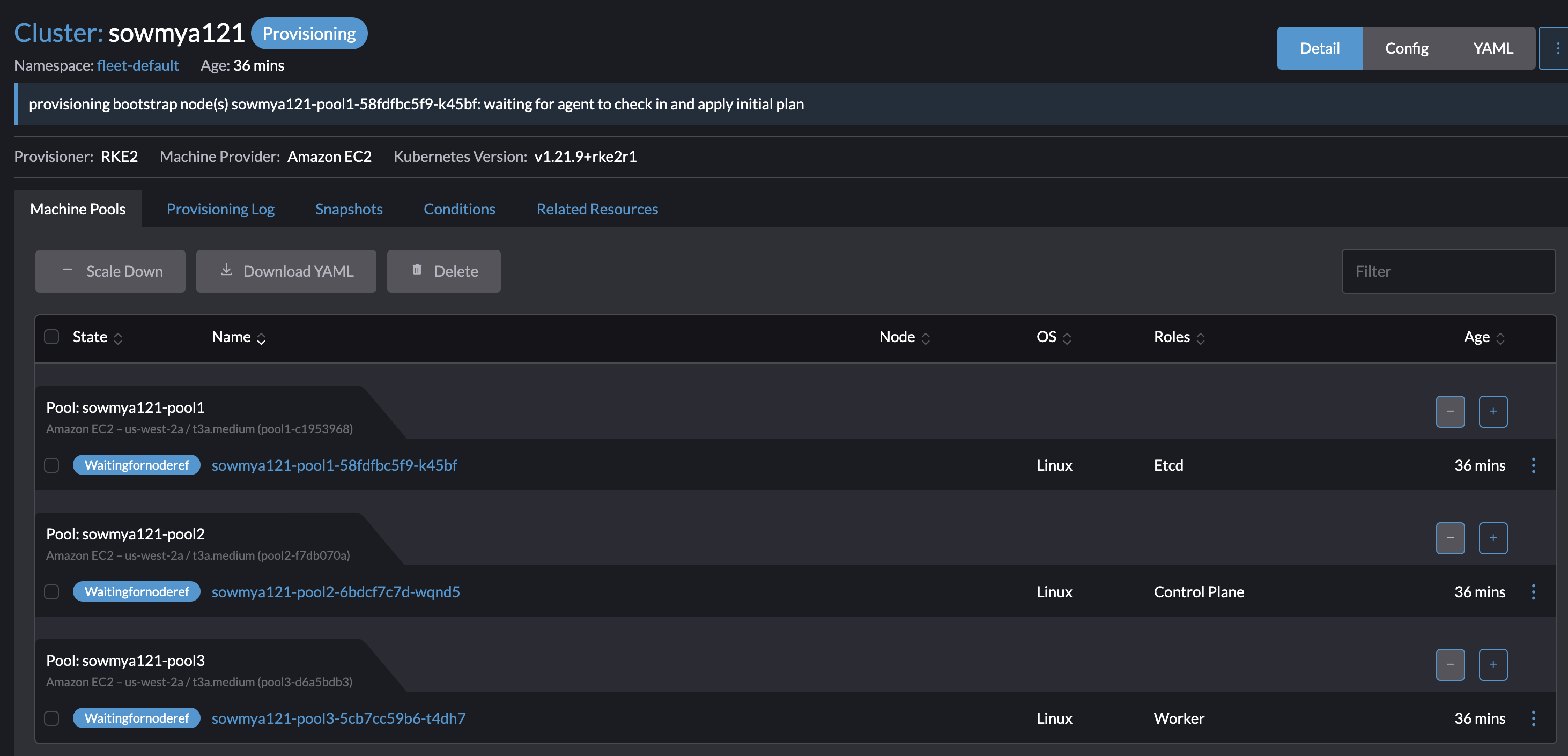 Unable to provision 1.22/1.21 RKE2 AWS Cluster · Issue #36349 · rancher/rancher · GitHub