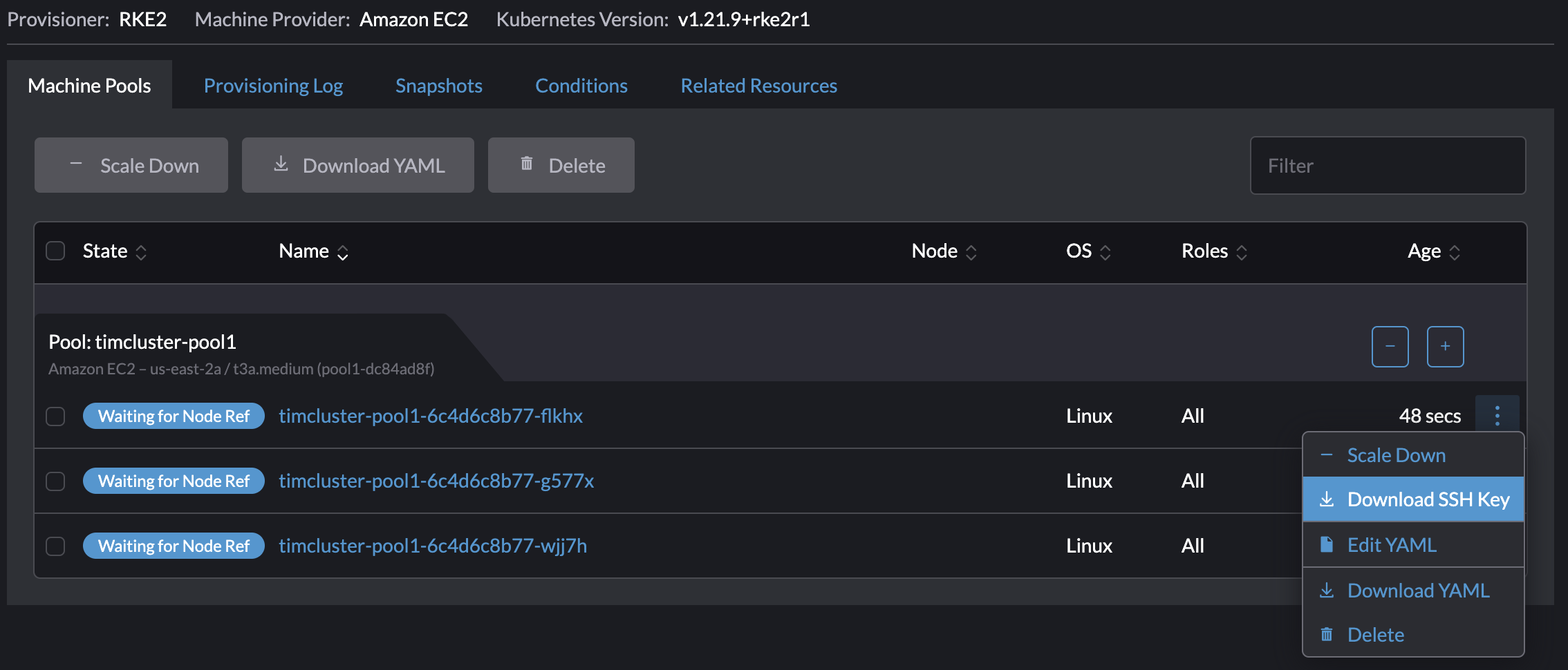No option to SSH into RKE2 node while node is in Waiting for Node ref state · Issue #5171 ...