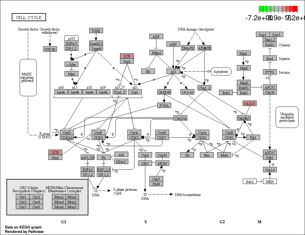 round problem and legend · Issue #7 · datapplab/pathview · GitHub