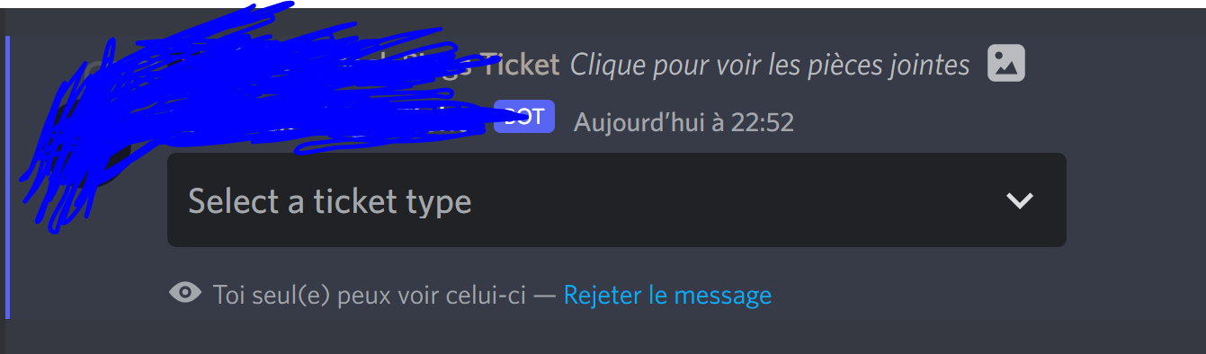 Retirer Type et Raison · Issue #76 · Sayrix/Ticket-Bot · GitHub