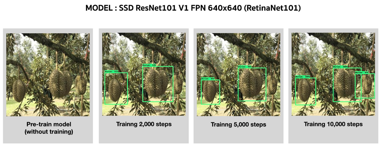 GitHub - Mewmp55/Image-Object-Detection-on-Durian-Dataset