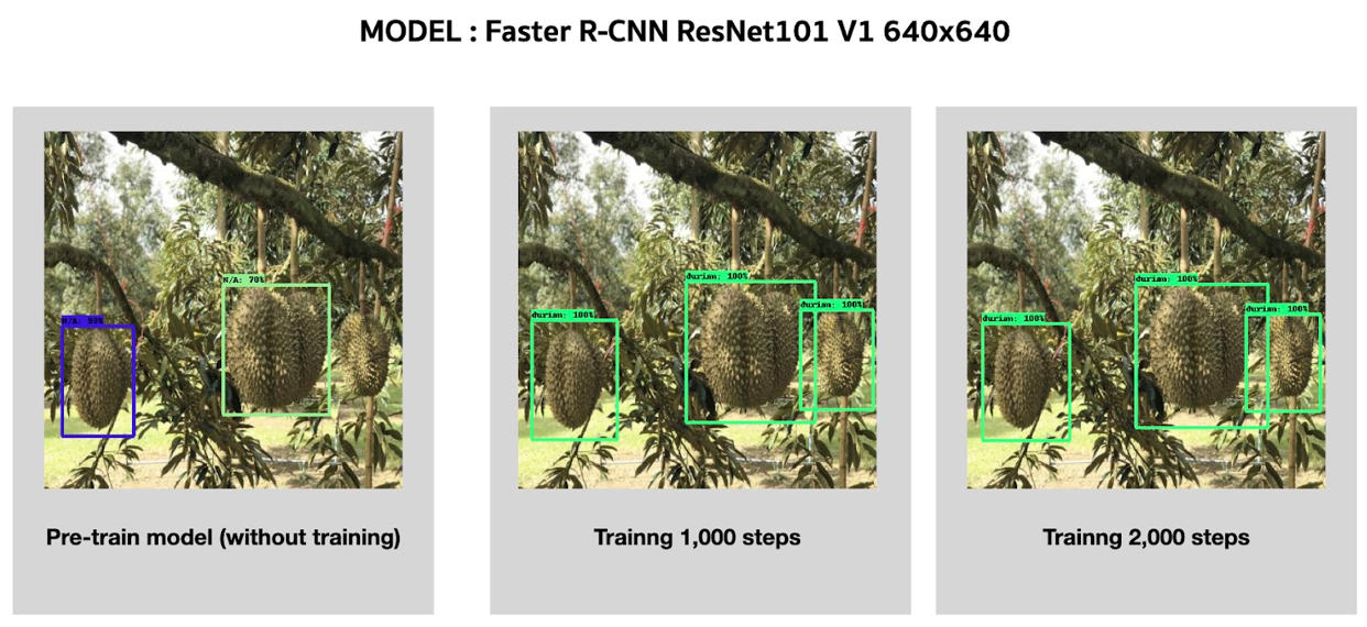 Github Mewmp55 Image Object Detection On Durian Dataset