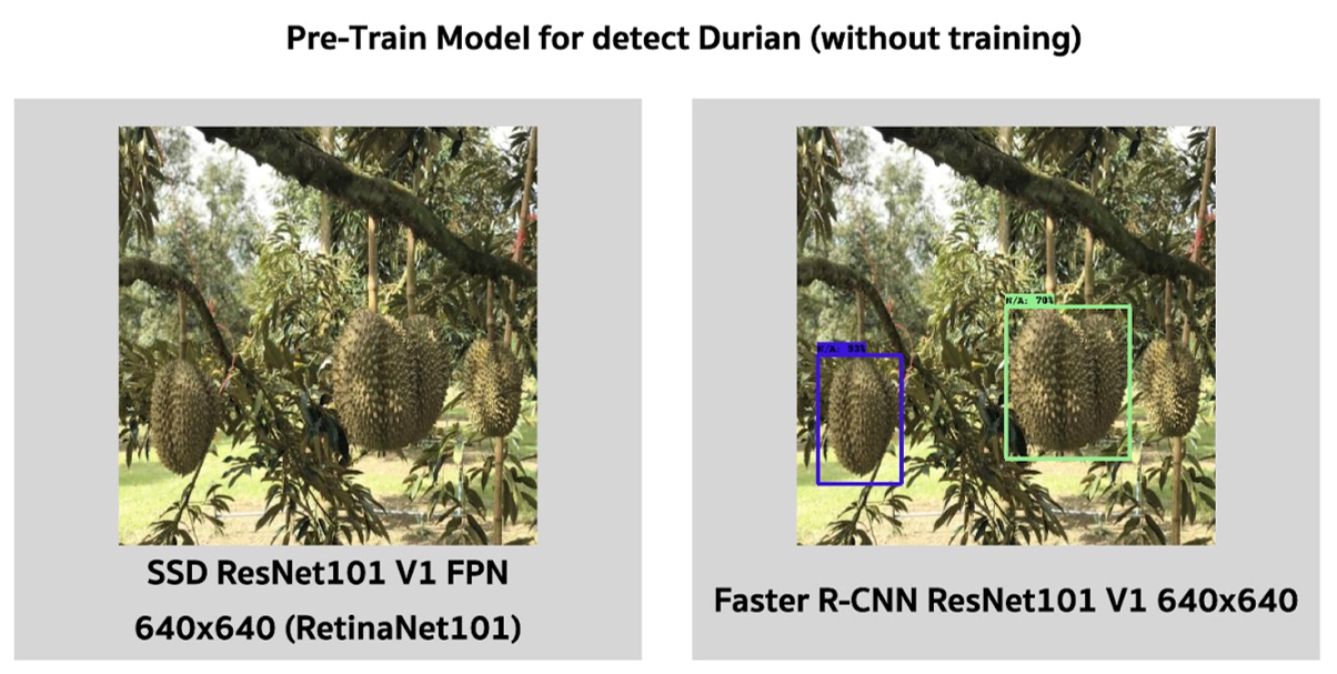 Github Mewmp55image Object Detection On Durian Dataset 6492