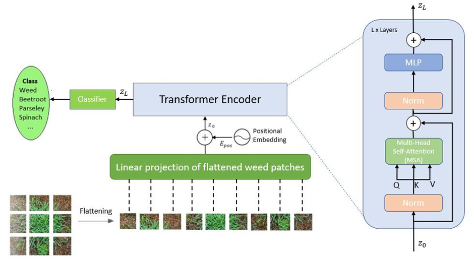 GitHub - er1009/plant-disease-detection: This project deals with the ...