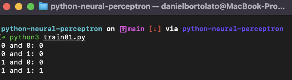 GitHub - danbortolato/python-neural-perceptron