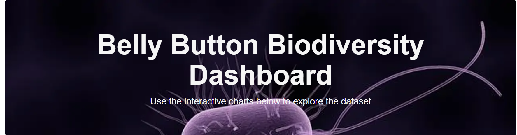 GitHub - UserVida/Bacteria_Dashboard: Create a visual dashboard to ...