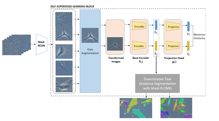 GitHub - fatmacelebi/self_supervised_learning_medical_image