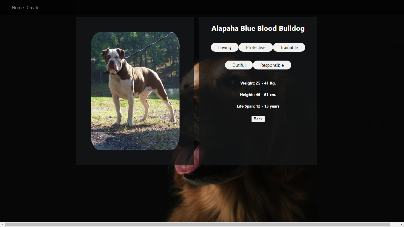 GitHub - nicomugas/PI-DOGS: API-REST sobre razas de perros