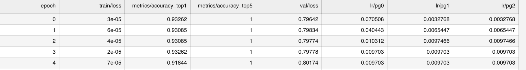 Printing out the validation loss for classification · Issue #2024 · ultralytics/ultralytics · GitHub