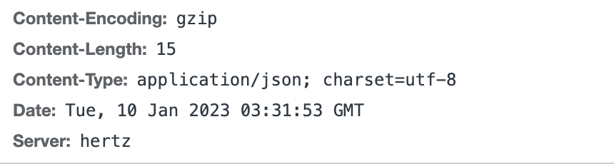 unable to delete "server" response header · Issue #528 · cloudwego/hertz · GitHub