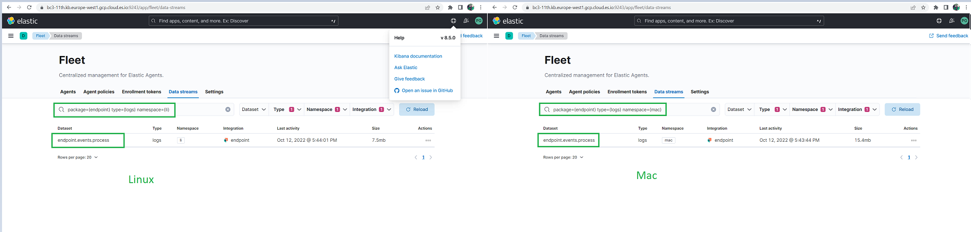 [Fleet]: Endpoint logs dataset are not shown on Data Streams page for Linux, Mac and Windows ...