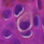 GitHub - RenaissanceT/Image-Segmentation-and-Analysis-MATLAB: Segment ...