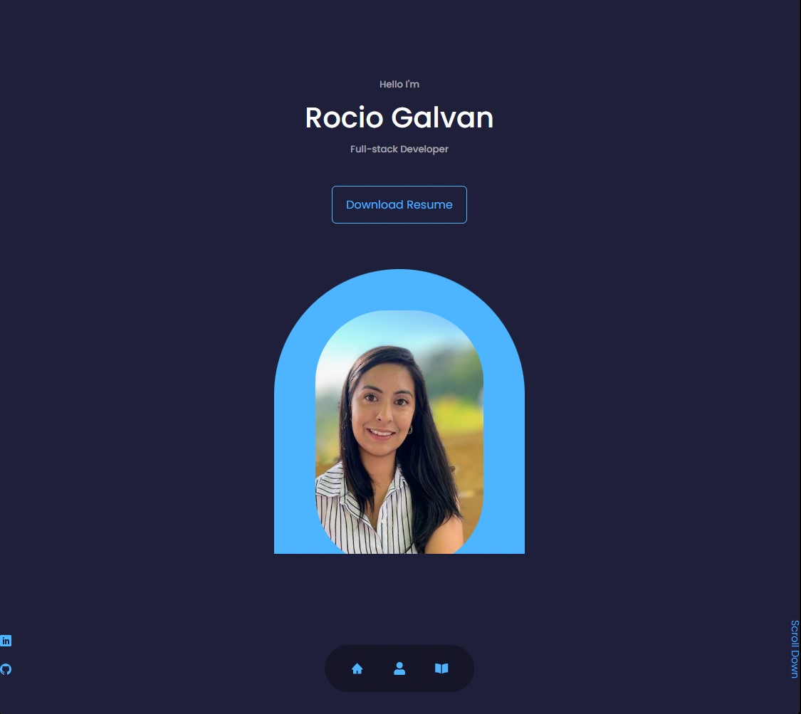 GitHub - Ro-Galvan/professional-react-portfolio