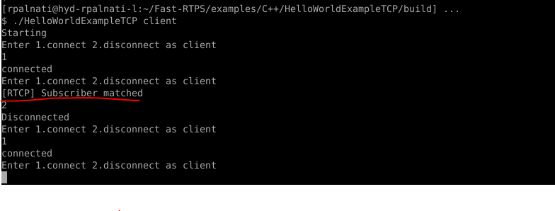 Publisher on TCP server -Subscriber client mismatch after reconnection from fastrtps tcp client ...