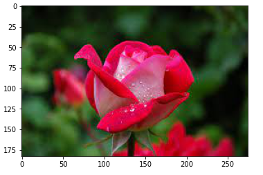 GitHub - Sathwikak96/IMAGE-PROCESSING