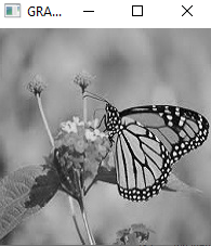 GitHub - Sathwikak96/IMAGE-PROCESSING