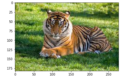 GitHub - Sathwikak96/IMAGE-PROCESSING