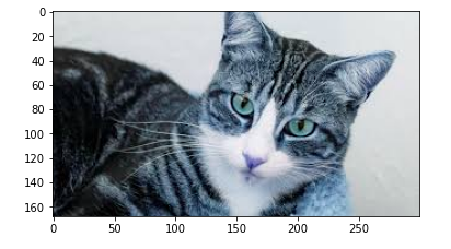 GitHub - Sathwikak96/IMAGE-PROCESSING