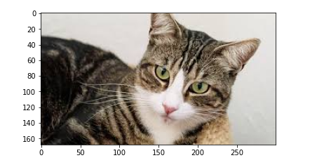 GitHub - Sathwikak96/IMAGE-PROCESSING