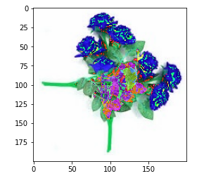 GitHub - Sathwikak96/IMAGE-PROCESSING