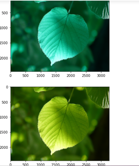 GitHub - Vanithavj/IPlab