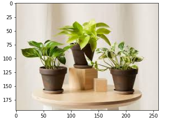 GitHub - roystondsouz/Image-Processing