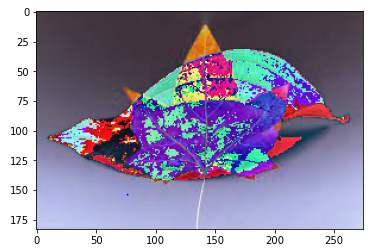 GitHub - Sadikasadhi/imageprocessing