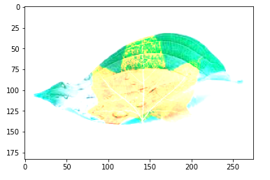GitHub - Sadikasadhi/imageprocessing
