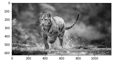 GitHub - Sadikasadhi/imageprocessing