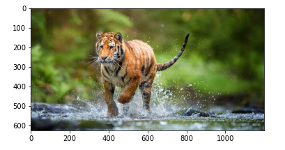 GitHub - Sadikasadhi/imageprocessing