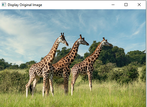 GitHub - Sadikasadhi/imageprocessing