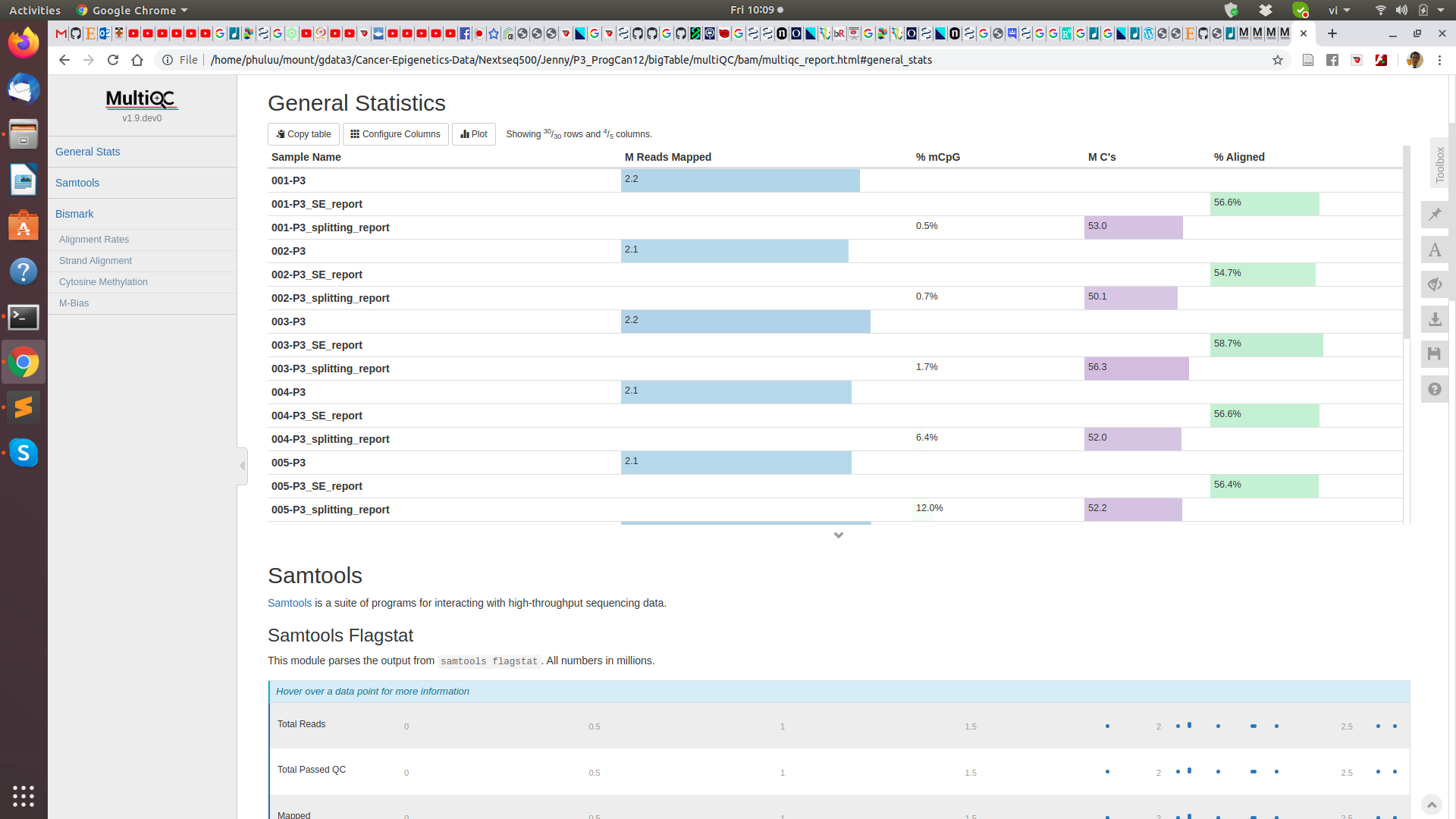 Bismark: missing columns (% mCpG, % mCHG, % mCHH, M C's, % Dups...) in General Statistics ...