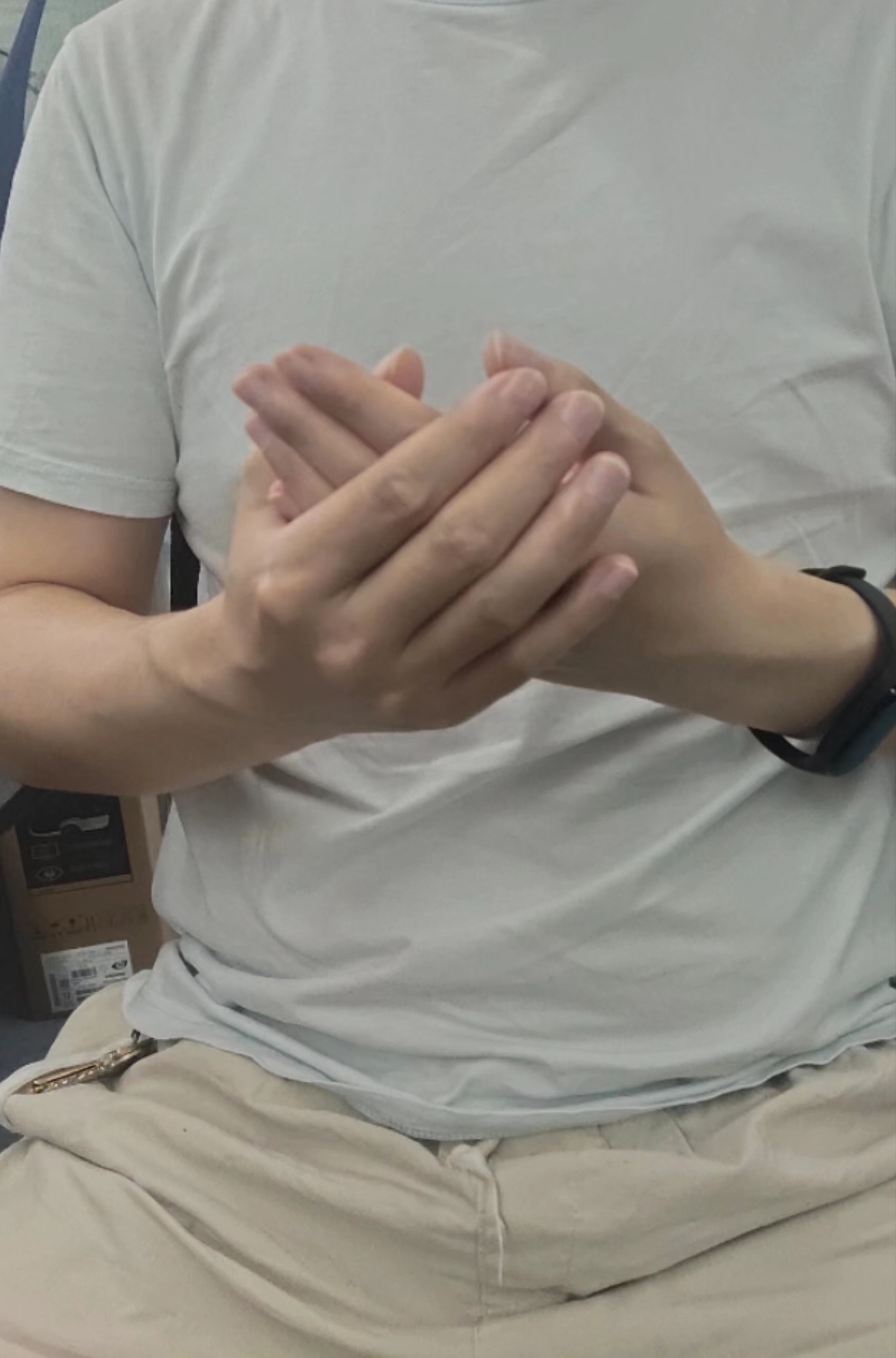 Result is bad! · Issue #143 · facebookresearch/InterHand2.6M · GitHub