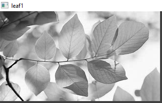 GitHub - Prajnashree00/image-processing