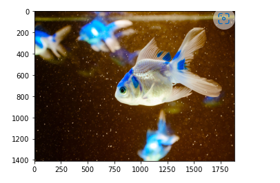 GitHub - Prajnashree00/image-processing