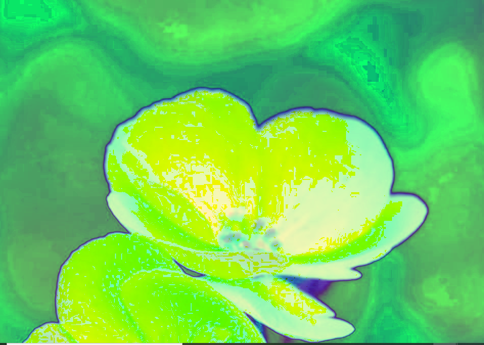 GitHub - Prajnashree00/image-processing