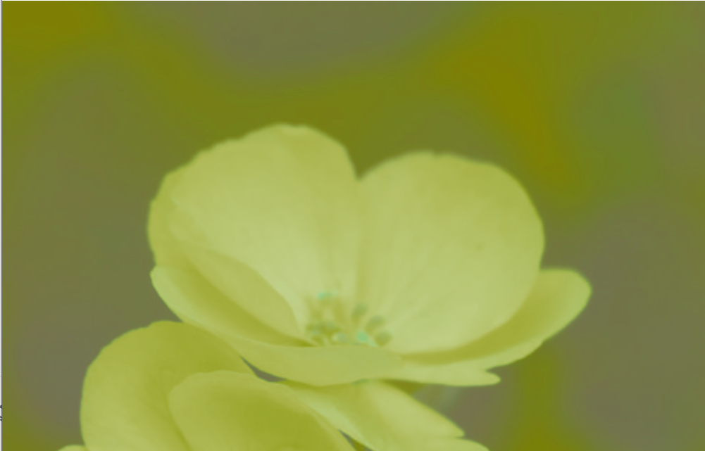 GitHub - Prajnashree00/image-processing